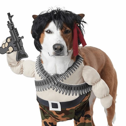 Stream c4pri - i'll never change cover but made all with my mouth by ...