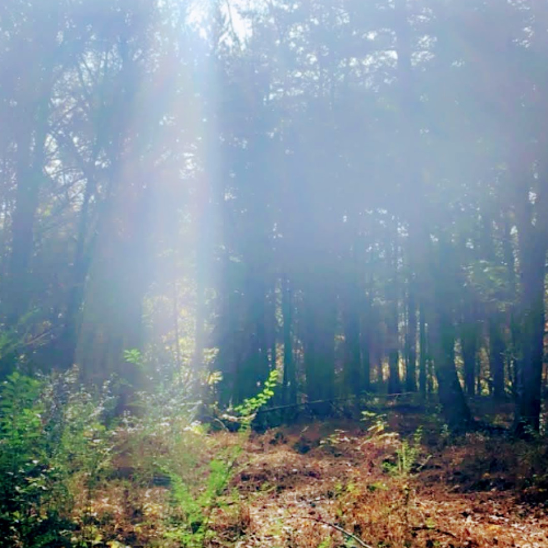 Stream EMPTY FULL BOTTLE (prod. by Jacob Lincoln x Steve Crabtree) by ...