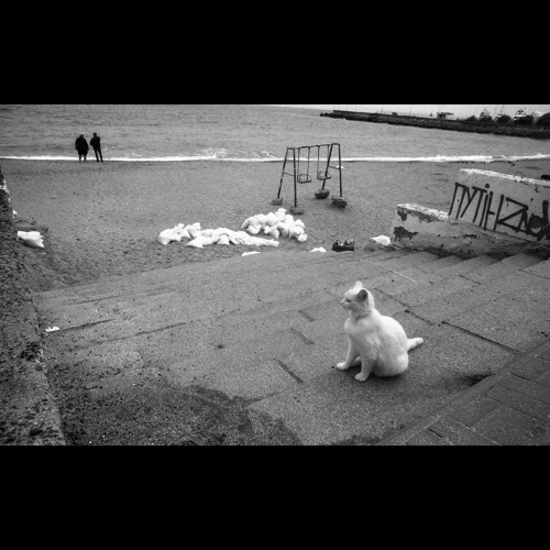 Stream PREMIERE: Chontane - Lamiids [Grooves For Ukraine] by Vault ...