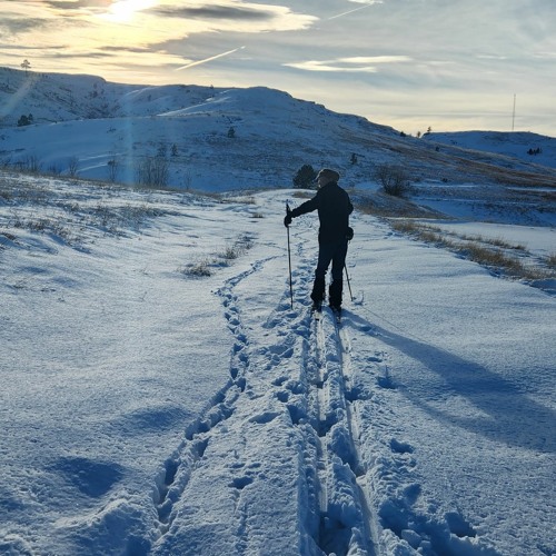 Stream Panhandle Afield: Cross Country Skiing by Justin Haag | Listen ...