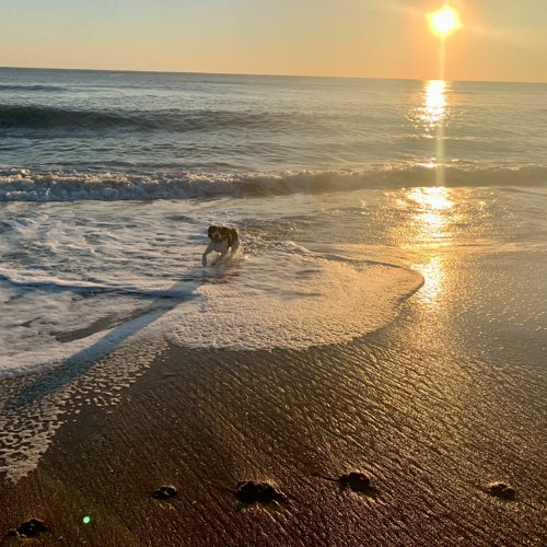 Stream Aranjuez Wonderful World - Moon River by Robin Lahiri Guitarist ...