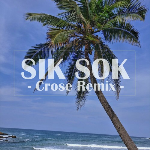Stream Sik Sok (Crose Remix) by Crose | Listen online for free on ...