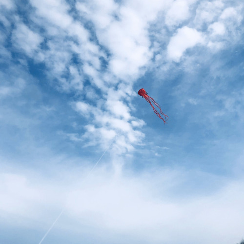 Stream LA Sky ( Matt Murphy, Sara Haze, Michelle Mareschal- Atkinson ...