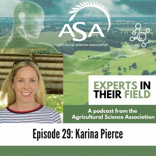 Stream episode Episode 29 - Karina Pierce, Interviewed by George ...