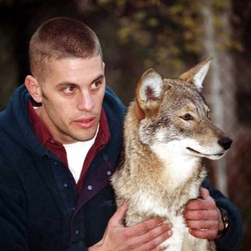Stream That Girl Chats With Dr. Jonathan Way About Coyotes On Cape Cod ...