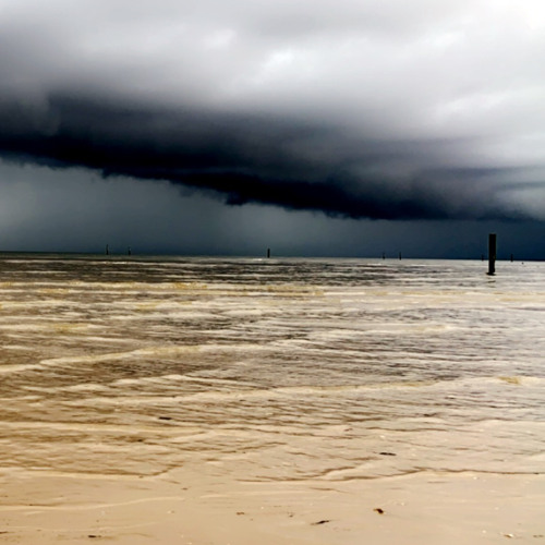 Stream We Could’ve Been Something by Alex Rimmer | Listen online for ...