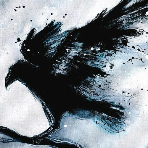 Stream Rare Raven Techno Set Live at Myth Night Club 2-24-24.wav by ...