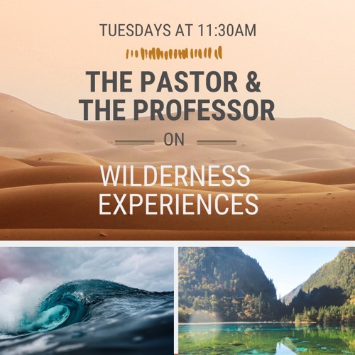 Stream The Pastor & The Professor: Lent, Wilderness Experiences ...