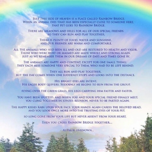 Stream SEMATARY - CRUCIFIXION (OUTRO EXTENDED) by sucidail | Listen ...