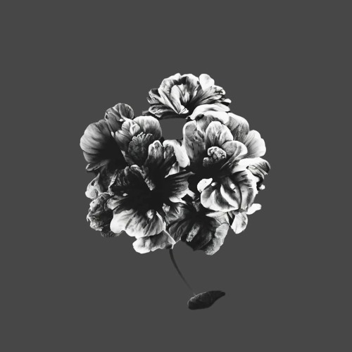 Stream drippy by Tim Kroll | Listen online for free on SoundCloud