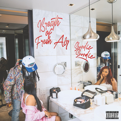 Stream DND (feat. 03 Greedo) by Shordie Shordie | Listen online for ...