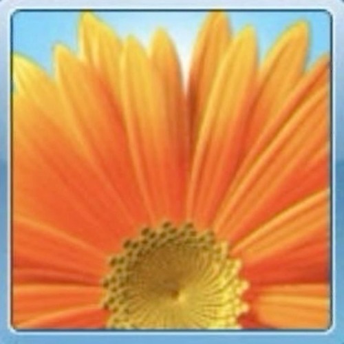 Stream Frutiger aero flow (ﾉ^ヮ^)ﾉ*:・ﾟ (Arigatoray) by Lowluck | Listen ...