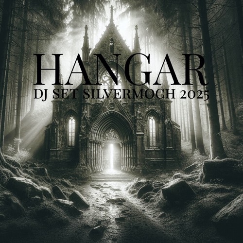 Stream Dj Set Techno Rave Hangar 2025 by silvermosch | Listen online ...
