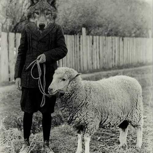 Stream Paralelo 27 del 04082023 by Luis Alberto Cervantes (El Zombie ...