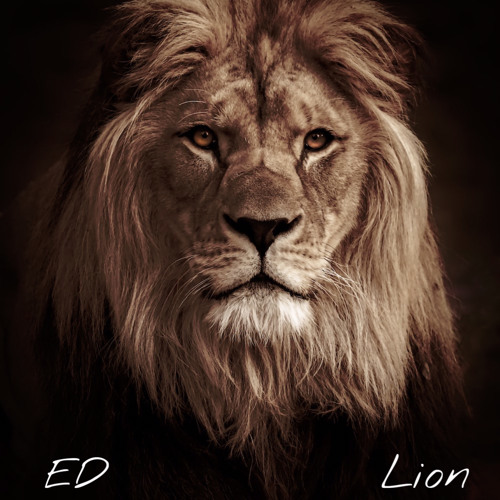 Stream Ed - Lion by Ed | Listen online for free on SoundCloud
