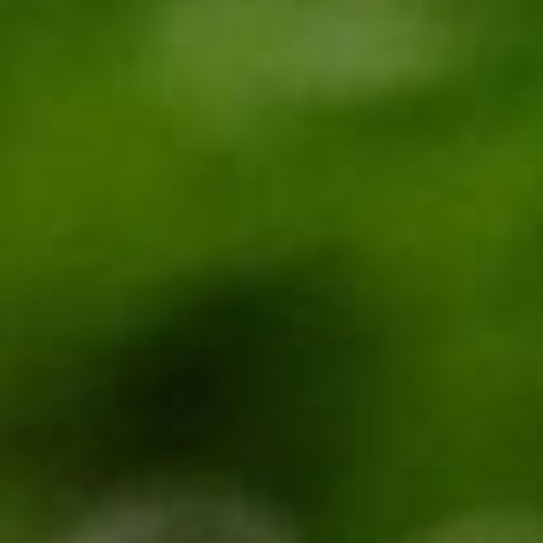 Stream Weeds On The Curb by Pit Balu | Listen online for free on SoundCloud