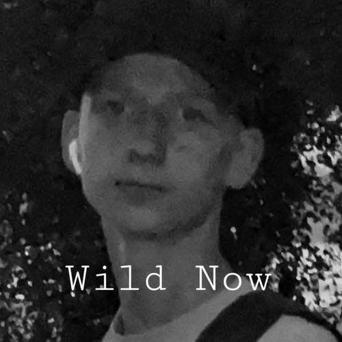 Stream Wild Now by Deephill | Listen online for free on SoundCloud