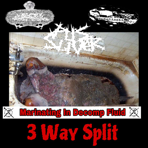 Stream Marinating In Decomp Fluid - Split With Urinary Tract Infection ...