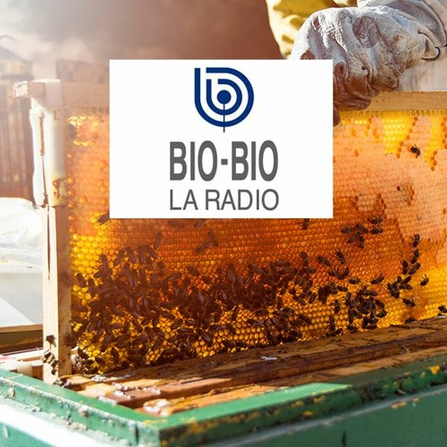 Stream Radio Bio Bio / Programa "A Tiempo y sin Pauta" / 20 mayo 2023 ...