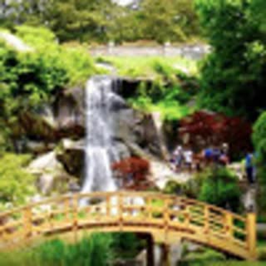 Stream Nettspend - sith the pole by Nettspend Archive | Listen online ...