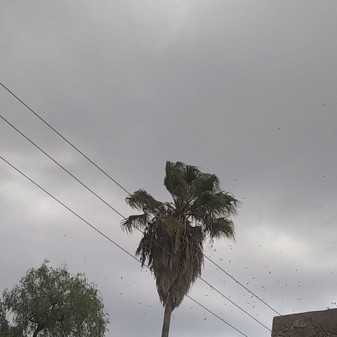 Stream thhj by DJ Wesco | Listen online for free on SoundCloud