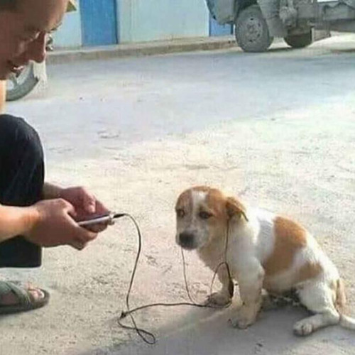 Stream Intruder of the Skies by Your Local Danish ZT3A2 Ratel | Listen ...