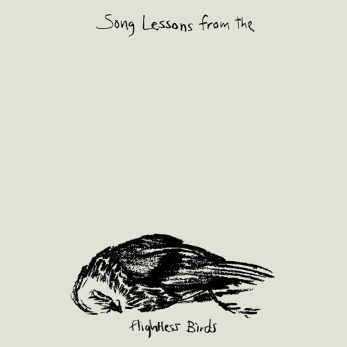 Stream Eden | Listen to Song Lessons from the Flightless Birds playlist ...