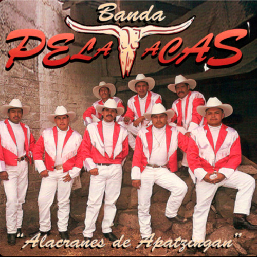 Stream Los 11 pueblos by Banda Pelavacas | Listen online for free on ...