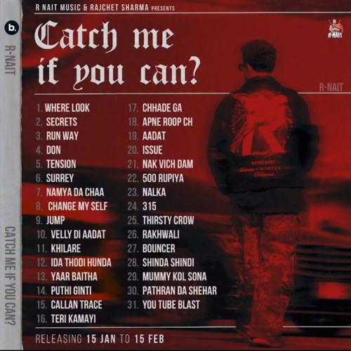 Stream Secrets (Official Visualizer) _ R Nait _ Catch Me If You Can Album by punjabi vibes ...