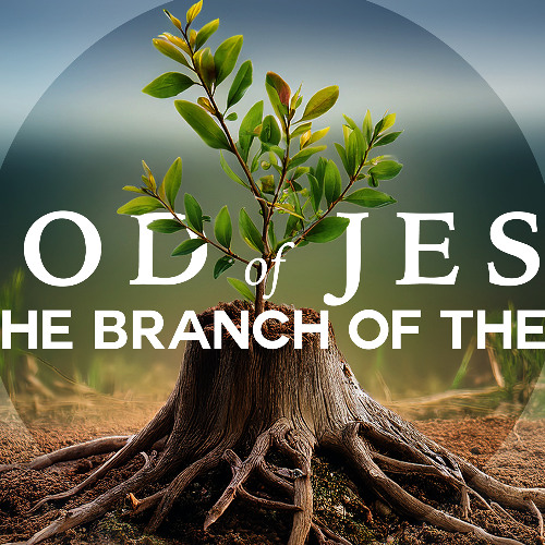 Stream Pastor Tyler Gaulden - The Rod Of Jesse And The Branch Of The ...
