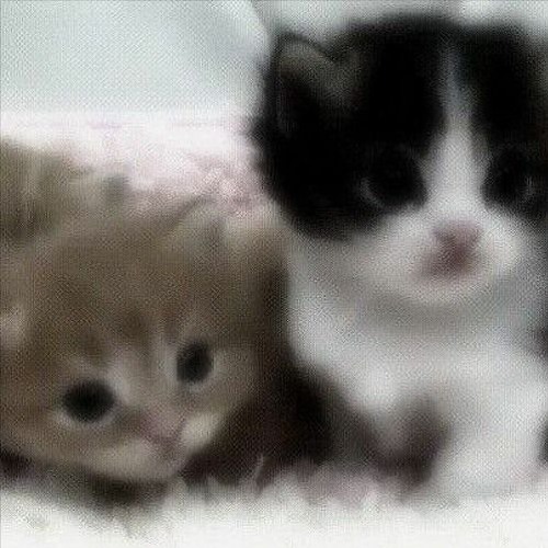 Stream UnMakeMe | Listen to sleep, finally playlist online for free on ...