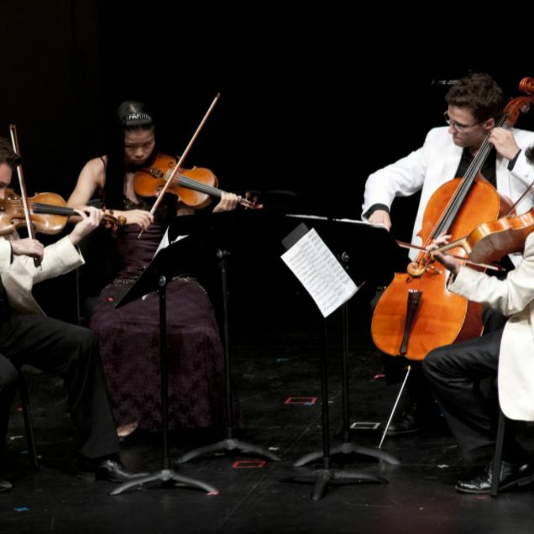 Stream Aily tik tok background 吏‍♀️ FREE DOWNLOAD by Mine Musicyoutube ...