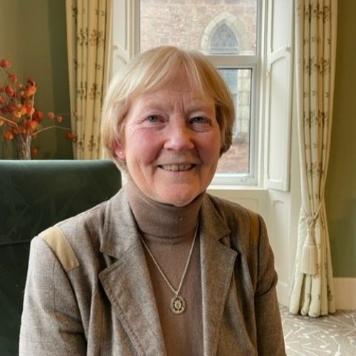 Stream Interview With Sr Geraldine Fitzpatrick.MP3 by billy swan ...