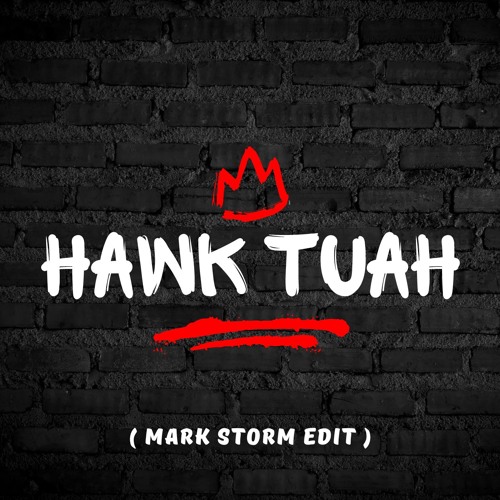 Stream Hawk Tuah ( Mark Storm Edit ) by Mark Storm Dj | Listen online ...