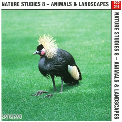 Stream The Mating Season by John Fox & Mac Prindy | Listen online for ...