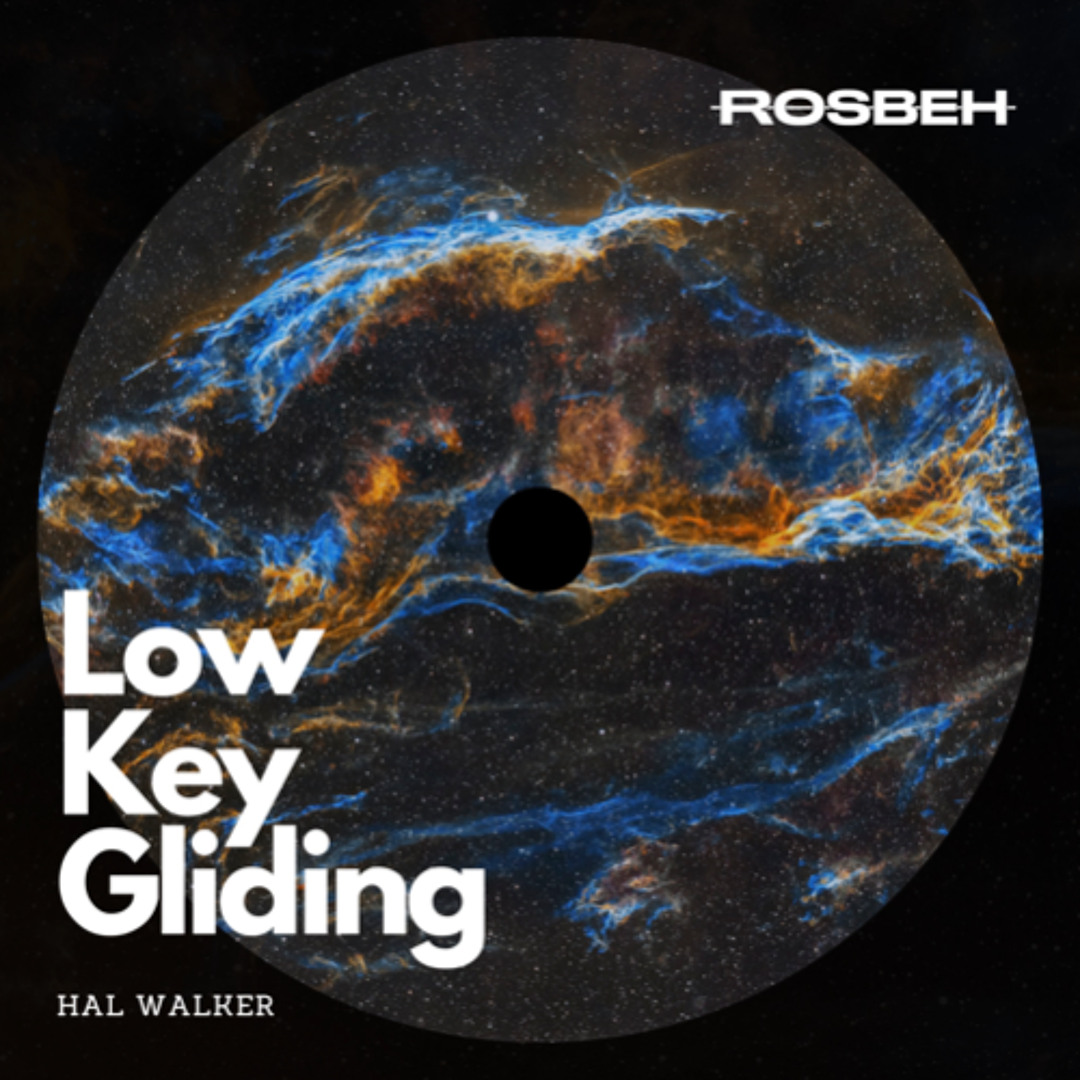 Stream Low Key Gliding (Rosbeh Flip) by Rosbeh | Listen online for free ...