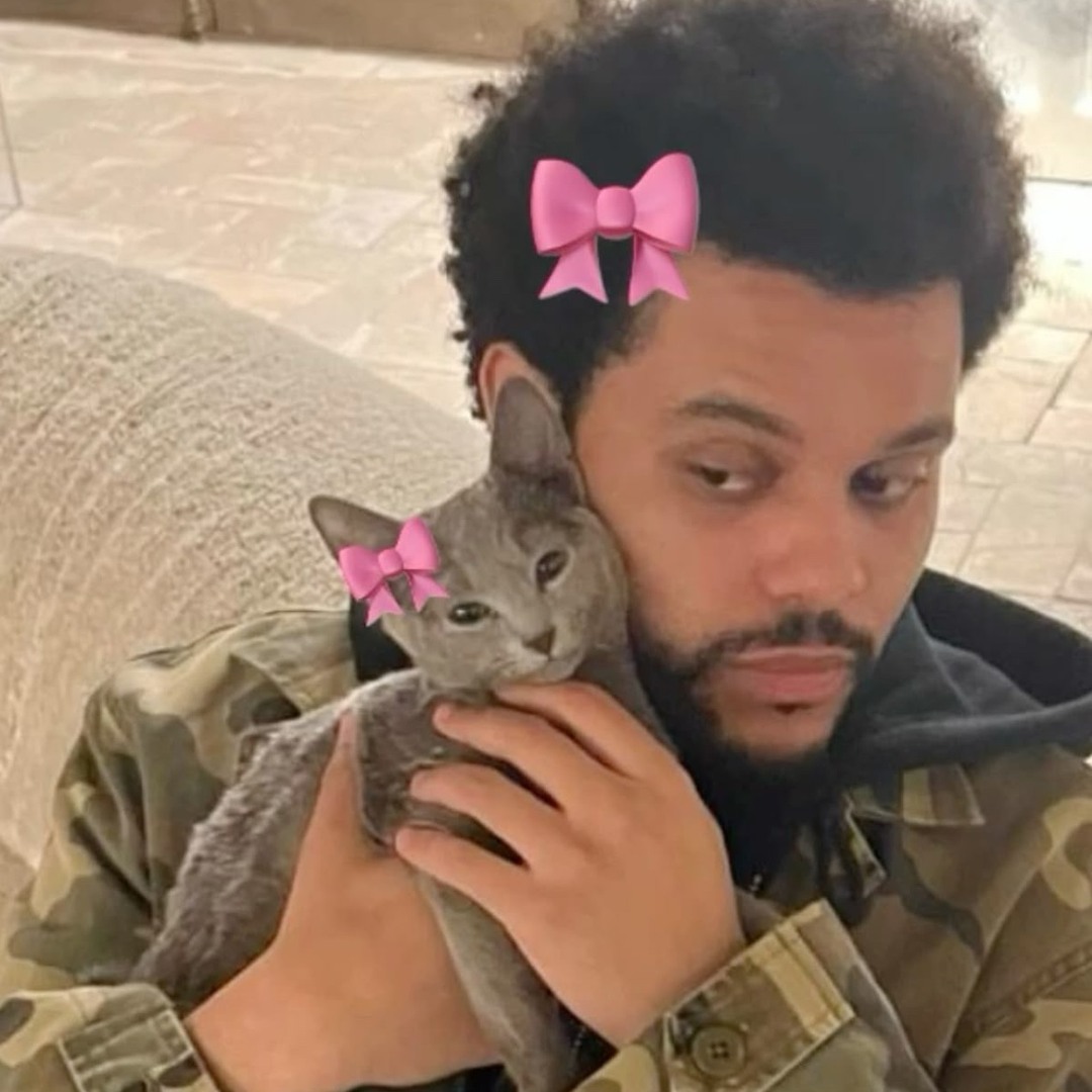 Stream Society - The Weeknd by cringe | Listen online for free on ...