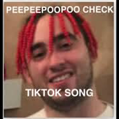 Stream PEEPEEPOOPOO CHECK (FULL TIKTOK SONG) Nightcore by Redhead ...