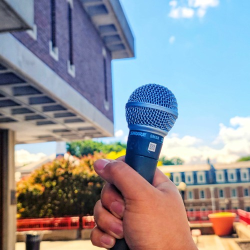 Stream Vox-Pop on Mental Health at RPI by MediaSanctuary | Listen ...