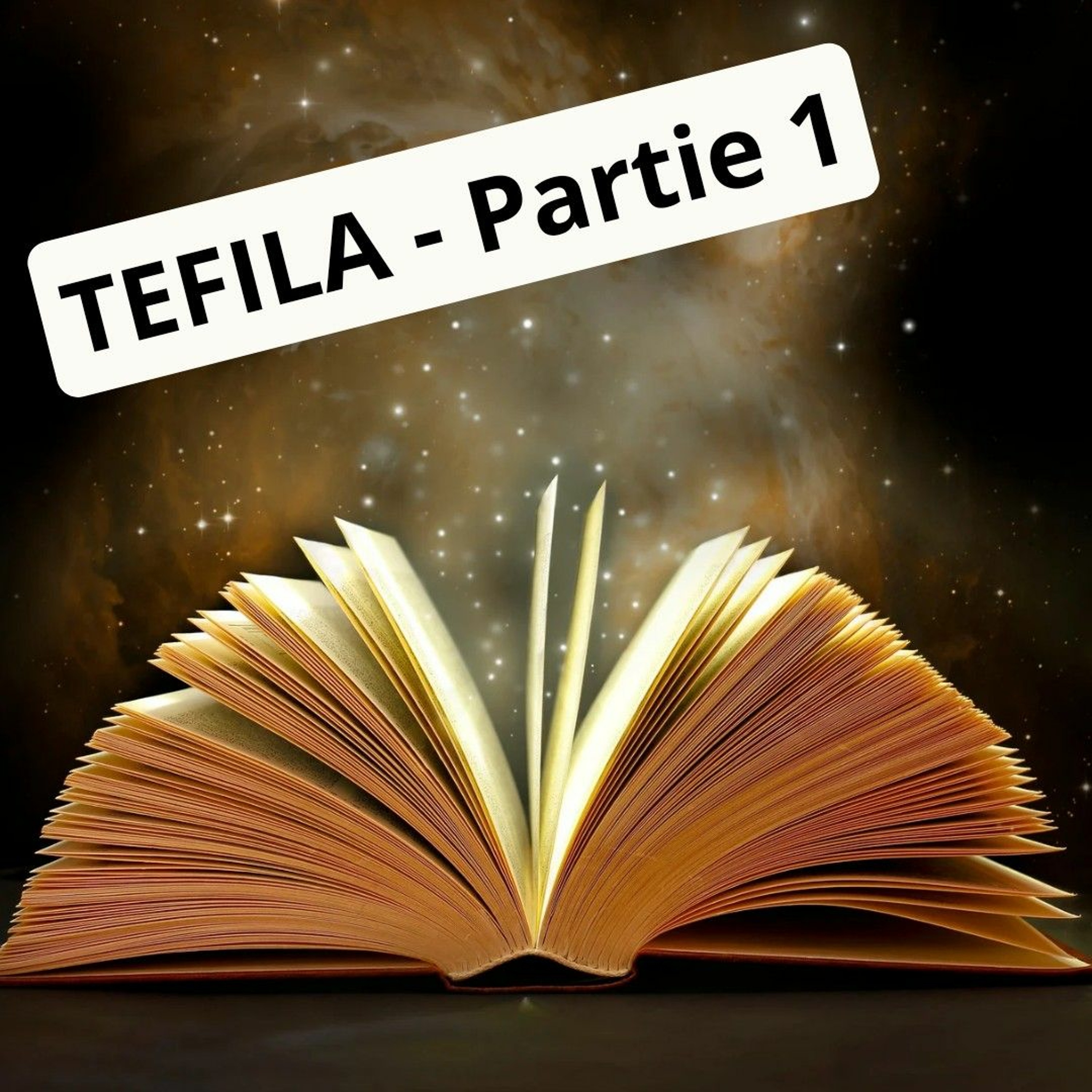 La Prière PART 1 - LES ORIGINES DE LA TEFILA Quand, quoi et comment ...