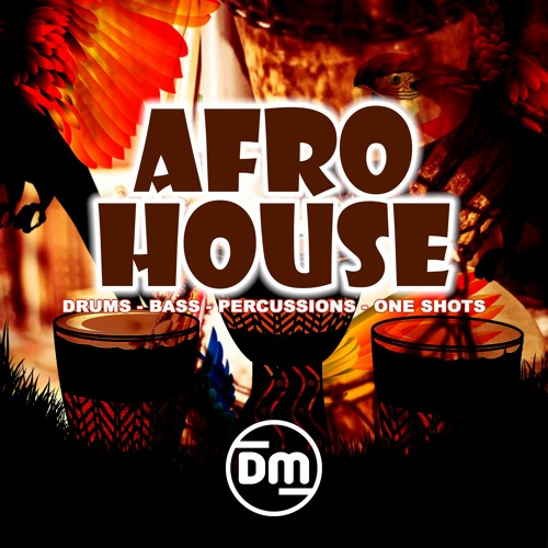 Stream Afro House - Raw samples and loops for you next Afro House ...