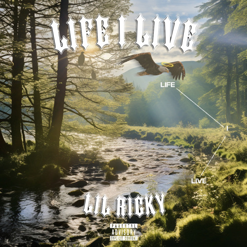 Stream Lil Ricky | Listen to For Everyone playlist online for free on ...