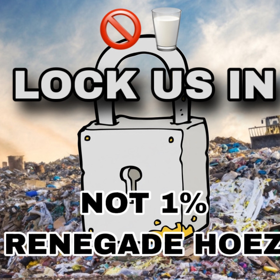 Stream LOCK US IN - NOT 1% Renegade Hoez (prod. @mrcertifiedraw) by 1% ...