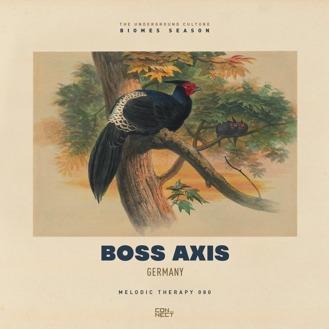 Stream Boss Axis @ Melodic Therapy #080 - Germany by CONNECT | Listen ...