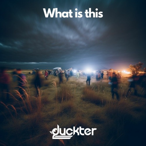 Stream Duckter - What Is This by Duckter | Listen online for free on ...