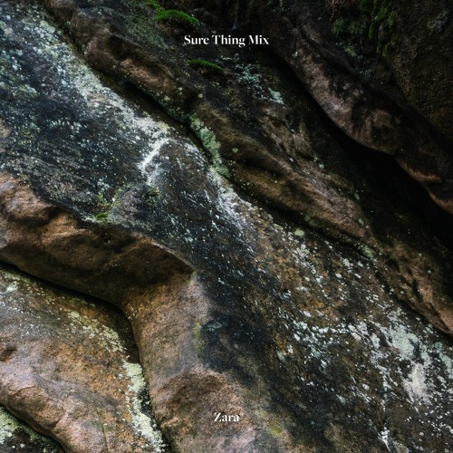 Stream Sure Thing Mix 119: Zara by Sure Thing | Listen online for free ...