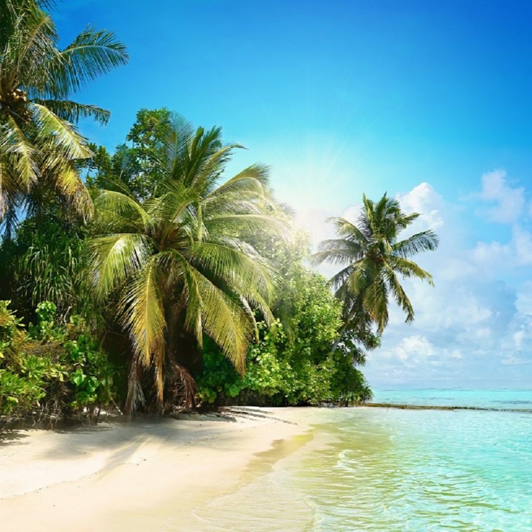 Stream Instrumental Tropical Music - Day At The Beach by Theme Cloud ...