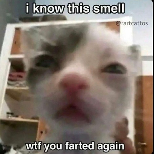 Stream The Penis Eek By Just Ylsdfdk Listen Online For Free On Soundcloud