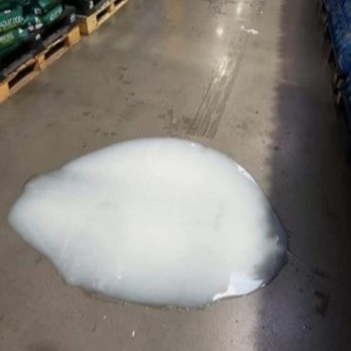 Stream beuh magique remix by spinoff | Listen online for free on SoundCloud