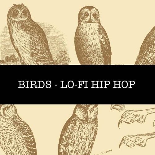 Stream LO-FI HIP HOP - BIRDS by Litalo | Listen online for free on ...